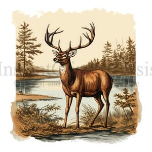 Vintage Deers Clipart, 10 High Quality Jpgs, Digital Download, Vintage ...