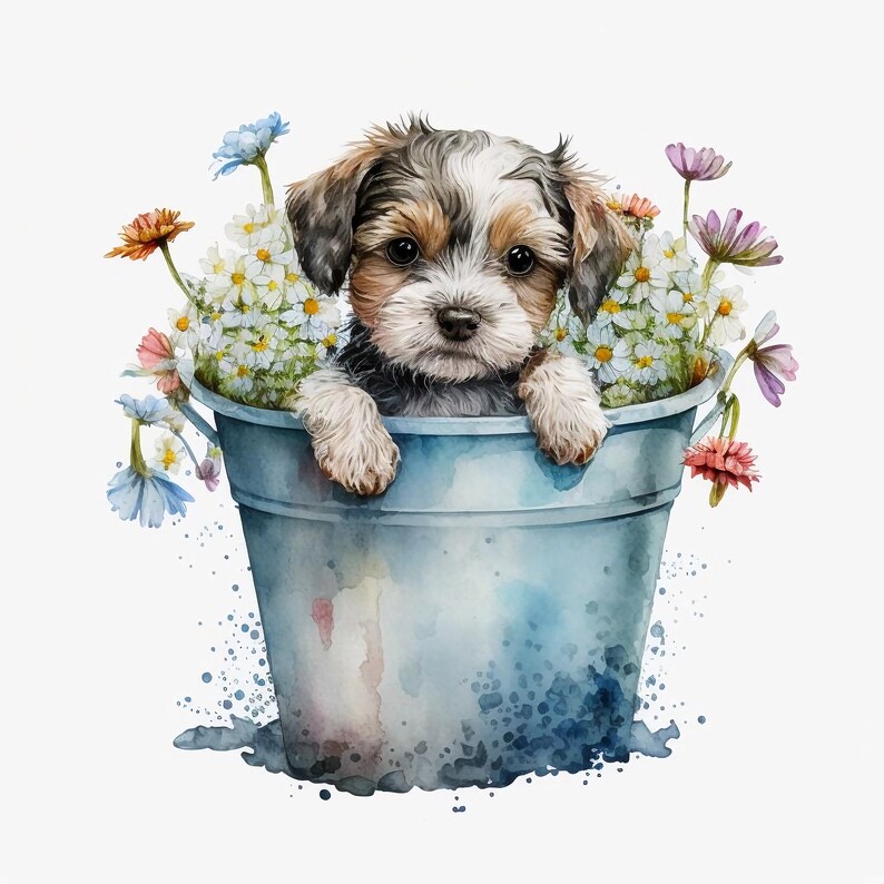 Dogs in a Bucket Clipart 9 High Quality Jpgs Digital - Etsy