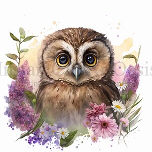 Floral Owls Clipart, 10 High Quality Jpgs, Nursery Art, Digital Planner ...