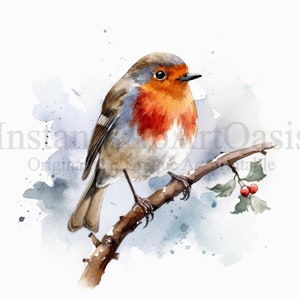 Winter Robin Clipart, 10 High Quality Jpgs, Nursery Art, Instant ...