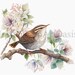 Wren Clipart, 10 High Quality Jpgs, Nursery Art, Instant Digital ...