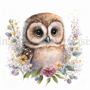 Floral Owls Clipart, 10 High Quality Jpgs, Nursery Art, Digital Planner ...