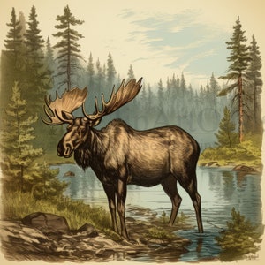 Vintage Moose Clipart, 10 High Quality Jpgs, Digital Download, Vintage ...