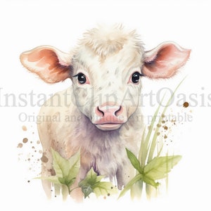 Veal Clipart, 10 High Quality Jpgs, Digital Download, Card Making ...