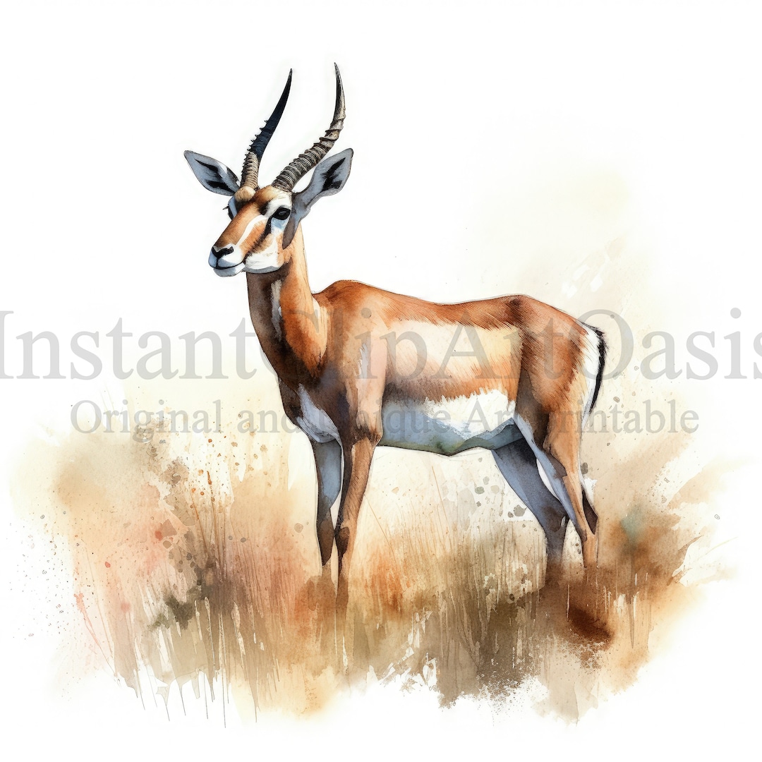 Grant's Gazelle Clipart, 6 High Quality Jpgs, Instant Digital Download ...