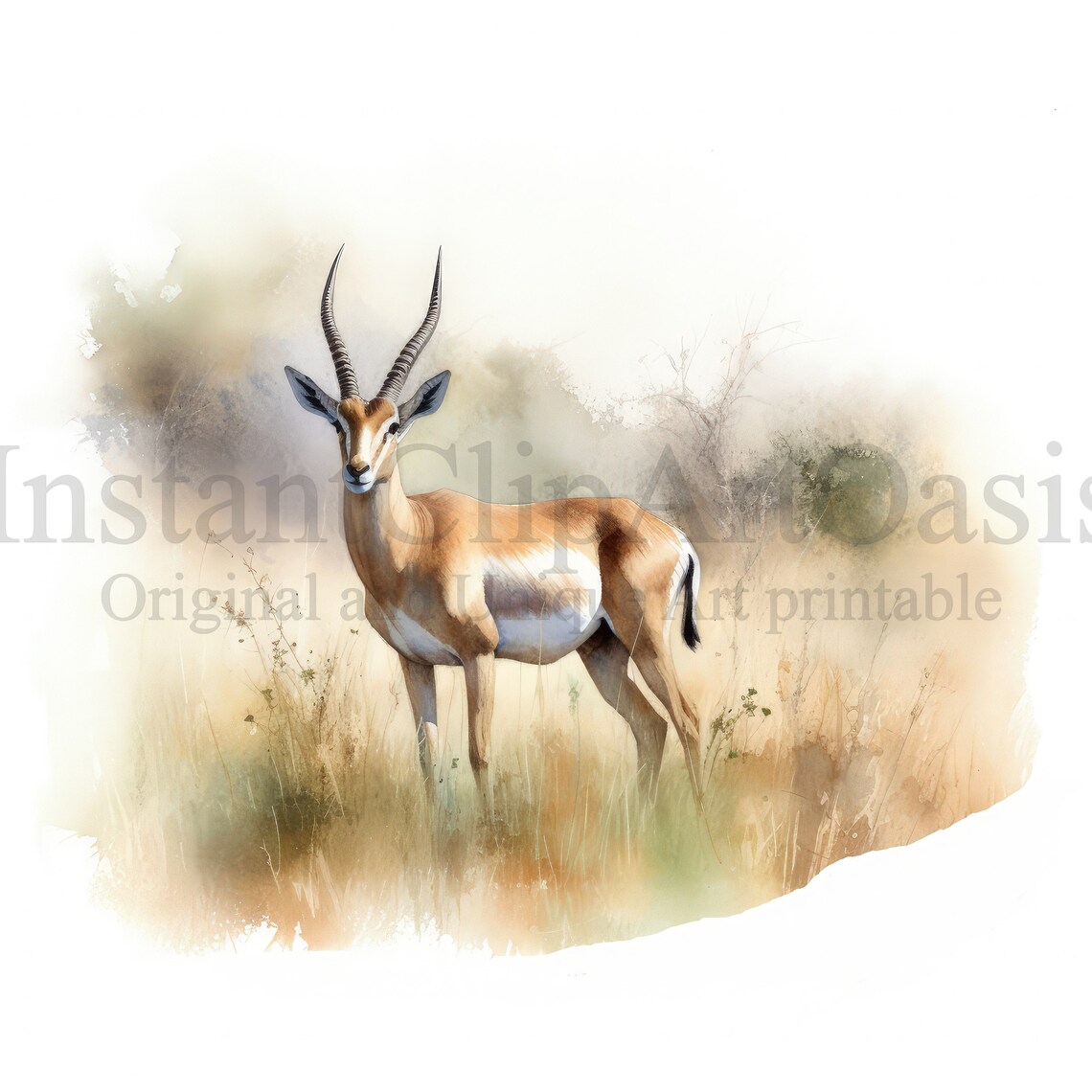 Grant's Gazelle Clipart, 6 High Quality Jpgs, Instant Digital Download ...