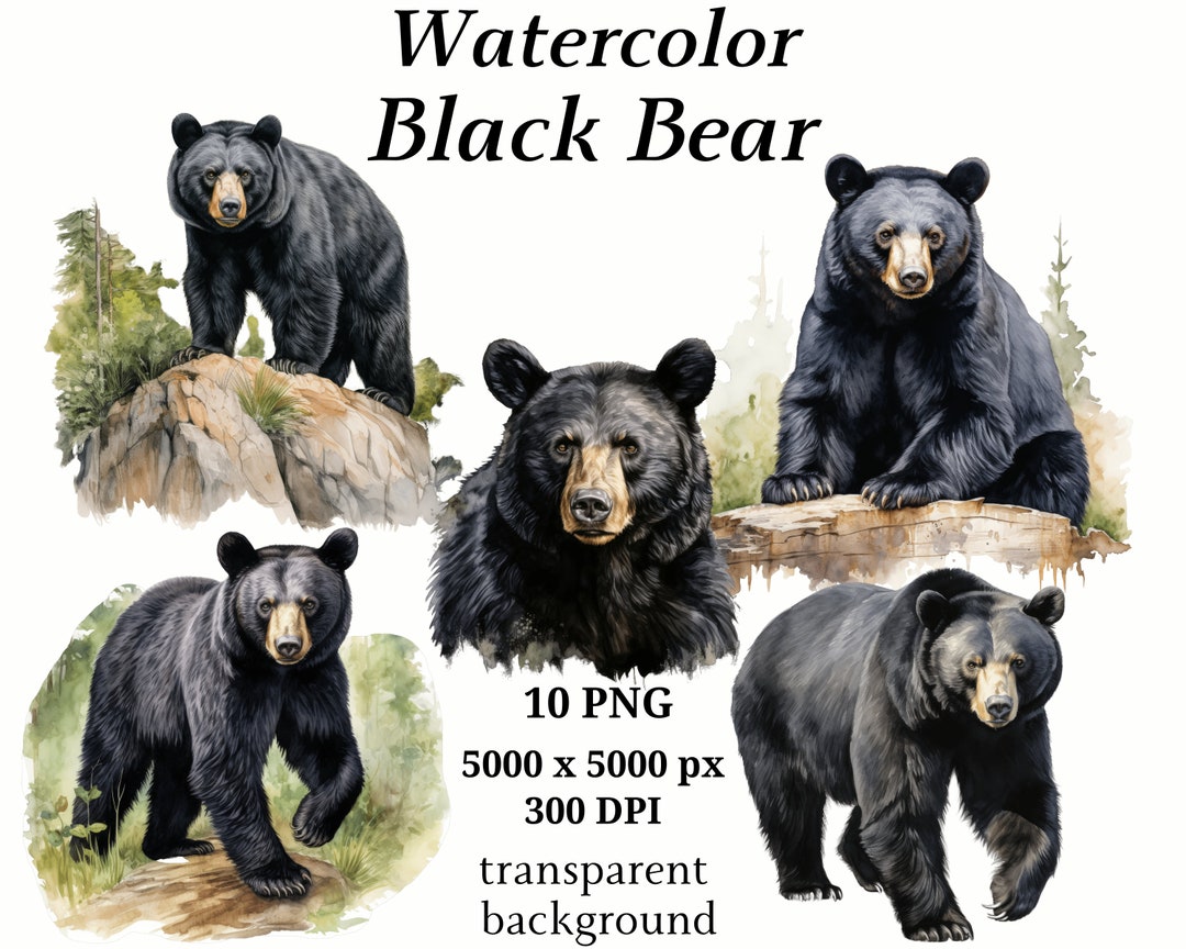 Watercolor Black Bear Clipart, 10 High Quality Pngs, Nursery Art | Card ...