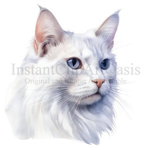 White Cats Clipart, 10 High Quality Pngs, Nursery Art, Digital Download ...