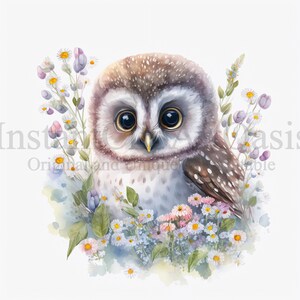 Floral Owls Clipart, 10 High Quality Jpgs, Nursery Art, Digital Planner ...