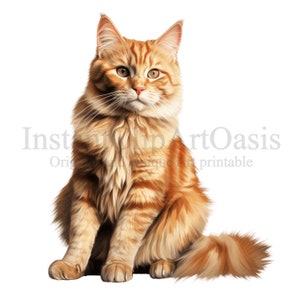 Ginger Cats Clipart, 10 High Quality Pngs, Nursery Art, Digital ...