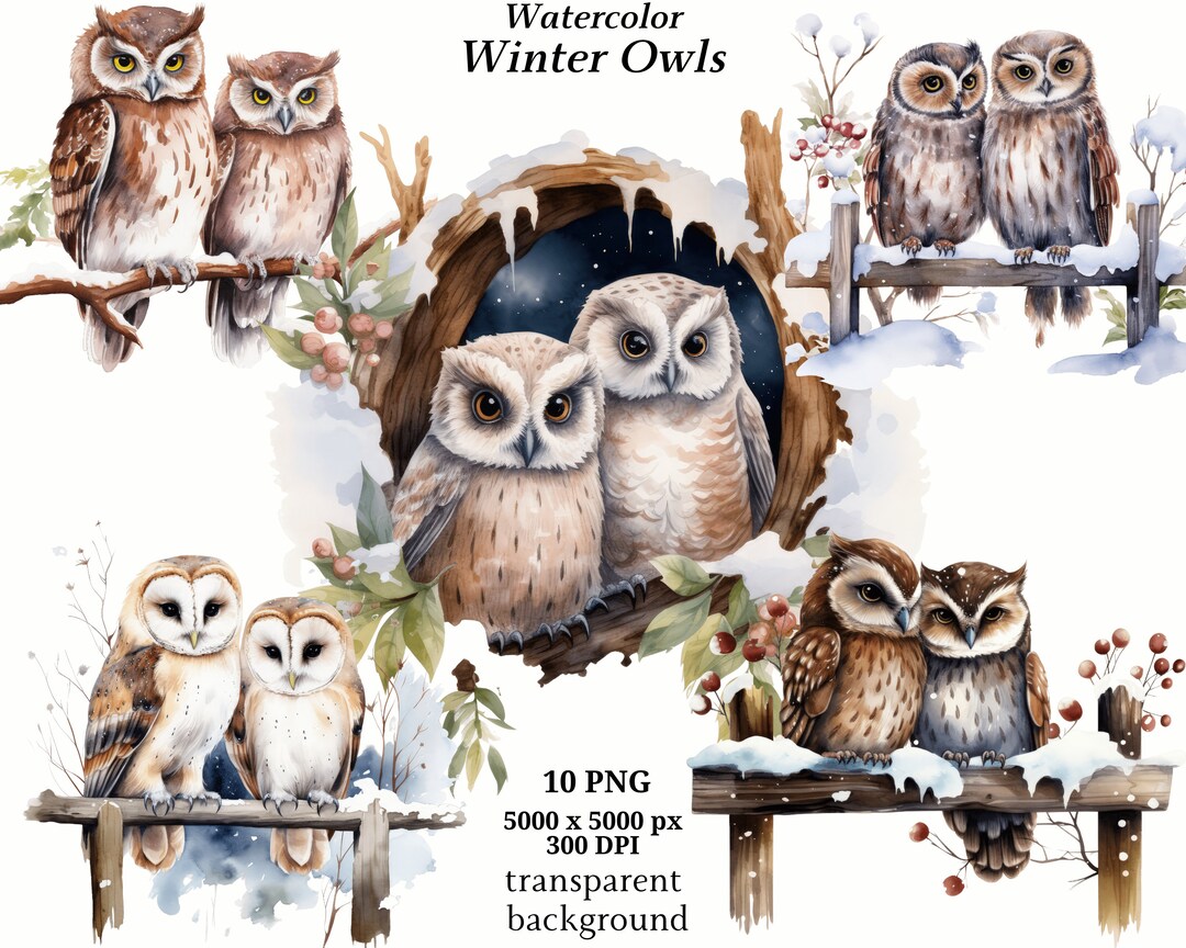 Winter Owls Clipart, 10 High Quality Pngs, Instant Digital Download ...