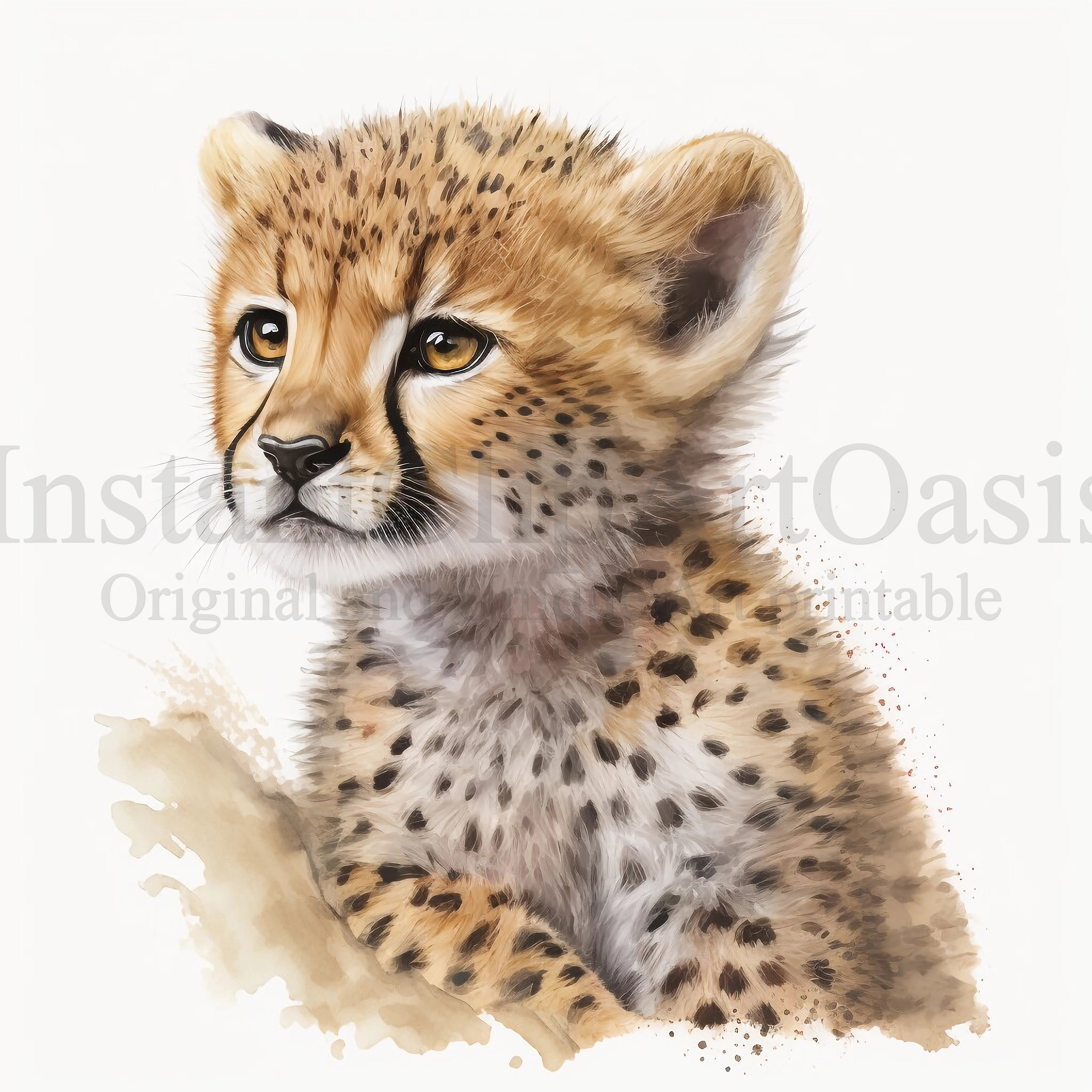 Cute Baby Cheetah Drawings
