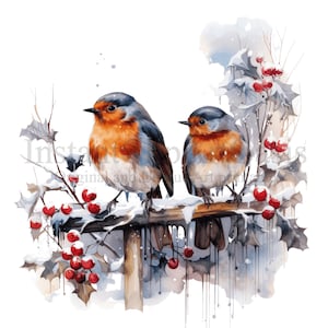 Winter Robins Clipart, 10 High Quality Pngs, Instant Digital Download ...