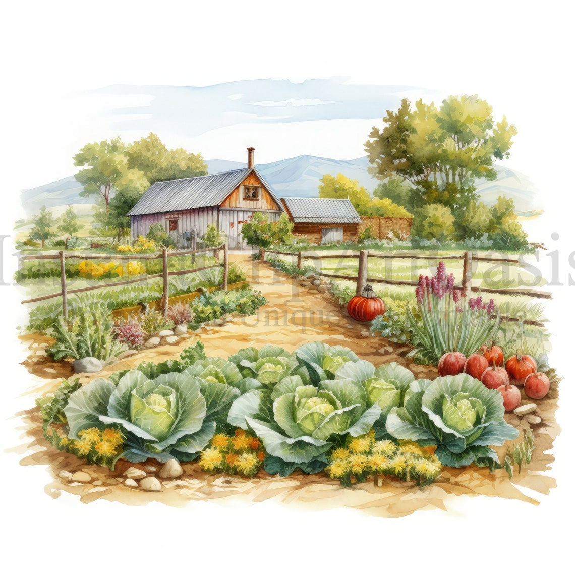 Vegetable Garden Clipart, 10 High Quality Jpgs, Farmyard Clipart ...
