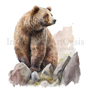 Bear Clipart, 9 High Quality Pngs, Nursery Art | Card Making, Clip Art ...