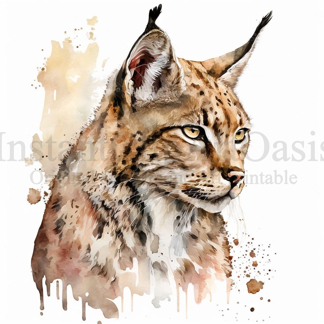 Lynx Clipart, 6 High Quality Jpgs, Nursery Art, Instant Digital ...