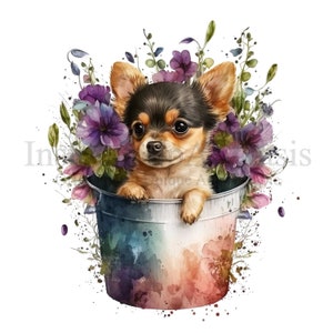 Dogs in a Bucket Clipart, 8 High Quality Pngs, Digital Download, Card ...