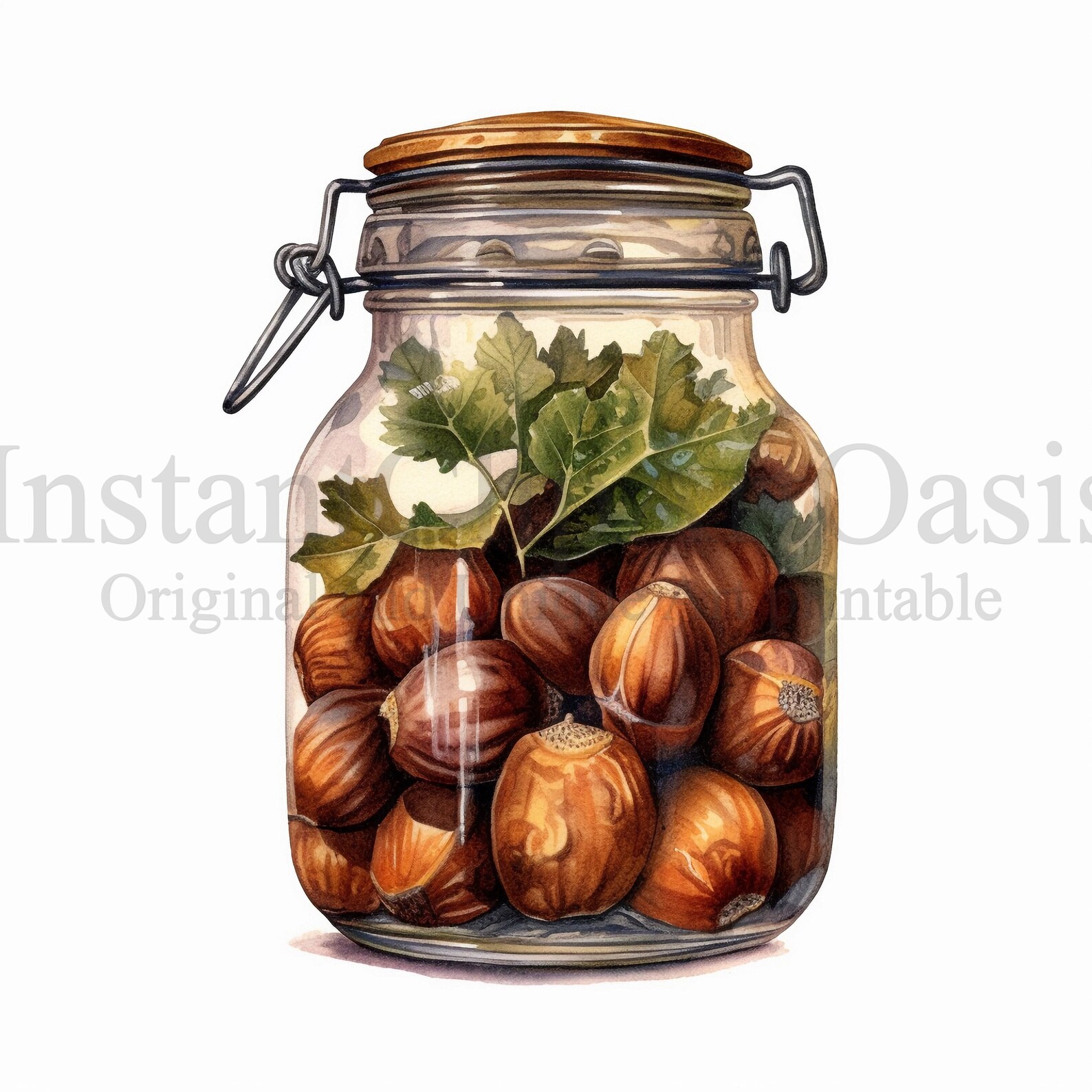 Acorns Jar Clipart, 10 High Quality Jpgs, Vintage Art, Digital Download ...