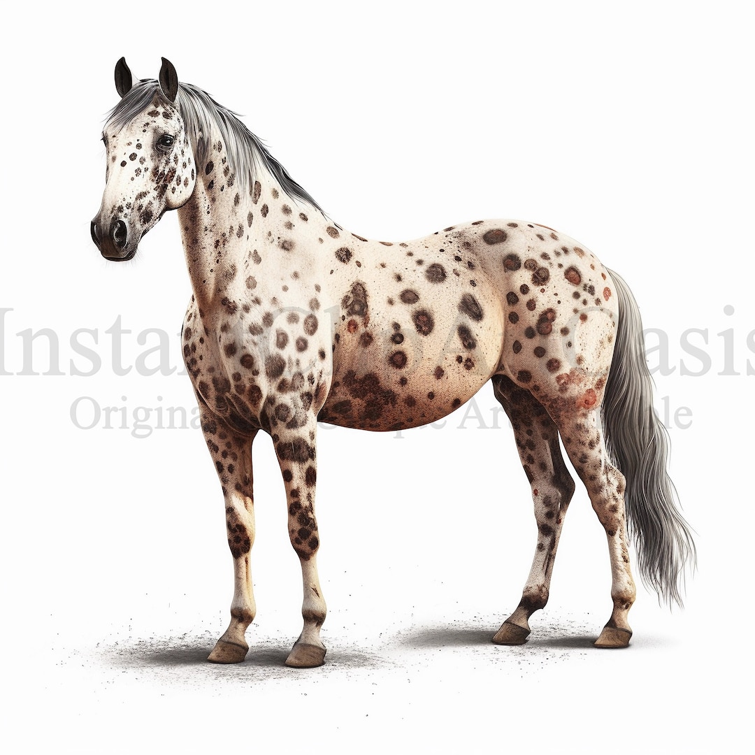 Appaloosa Horse Clipart, 10 High Quality Jpgs, Nursery Art, Digital ...