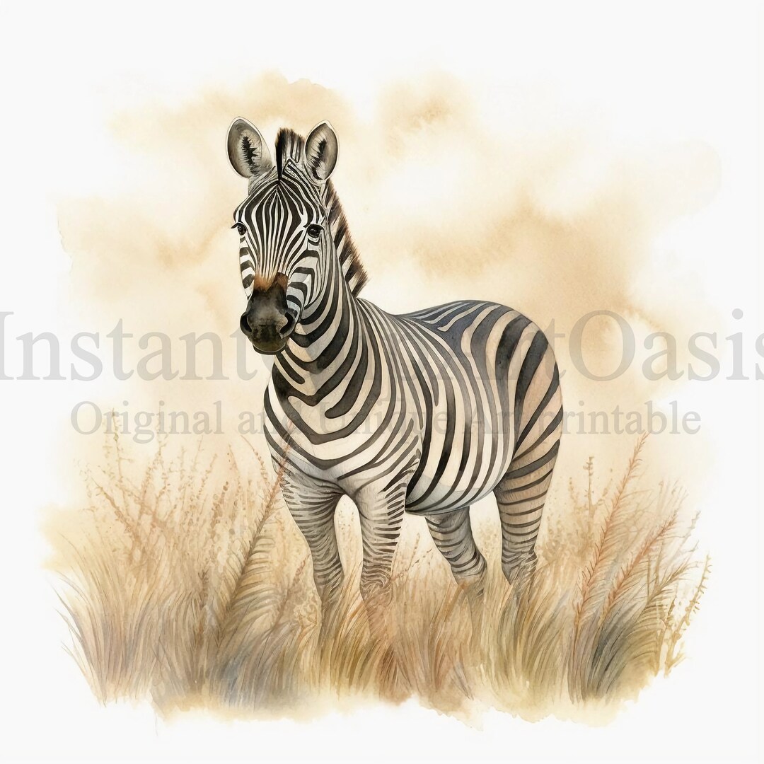 Zebra Clipart, 10 High Quality Jpgs, Nursery Art, Instant Digital ...