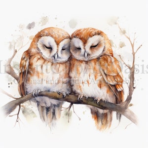 Sleepy Owls Clipart, 12 High Quality Jpgs, Nursery Art | Card Making ...