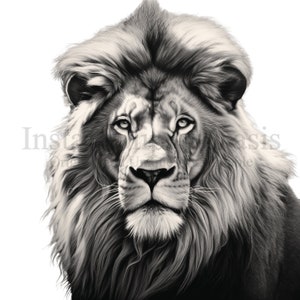 Lion Greyscale Clipart 10 High Quality Pngs, Digital Download, Card ...