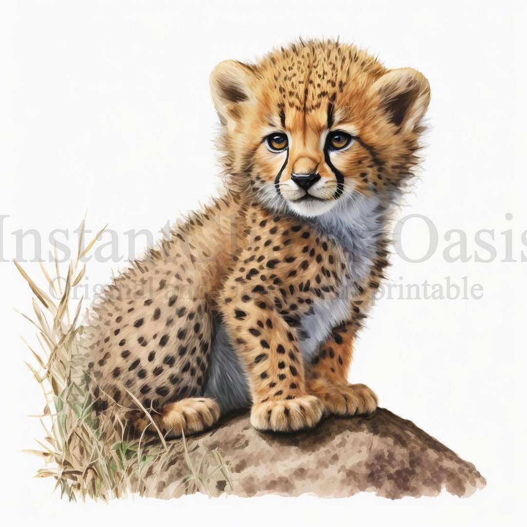 Cute Cheetah Cub Clipart 10 High Quality S Nursery Art Digital Download Card Making