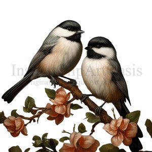 Chickadee Clipart | Set-2 | 10 High Quality Pngs, Digital Download ...