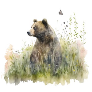 Bear in a Meadow Clipart, 9 High Quality Pngs, Digital Download, Card ...