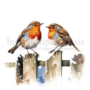 Winter Robins Clipart, 10 High Quality Pngs, Instant Digital Download ...