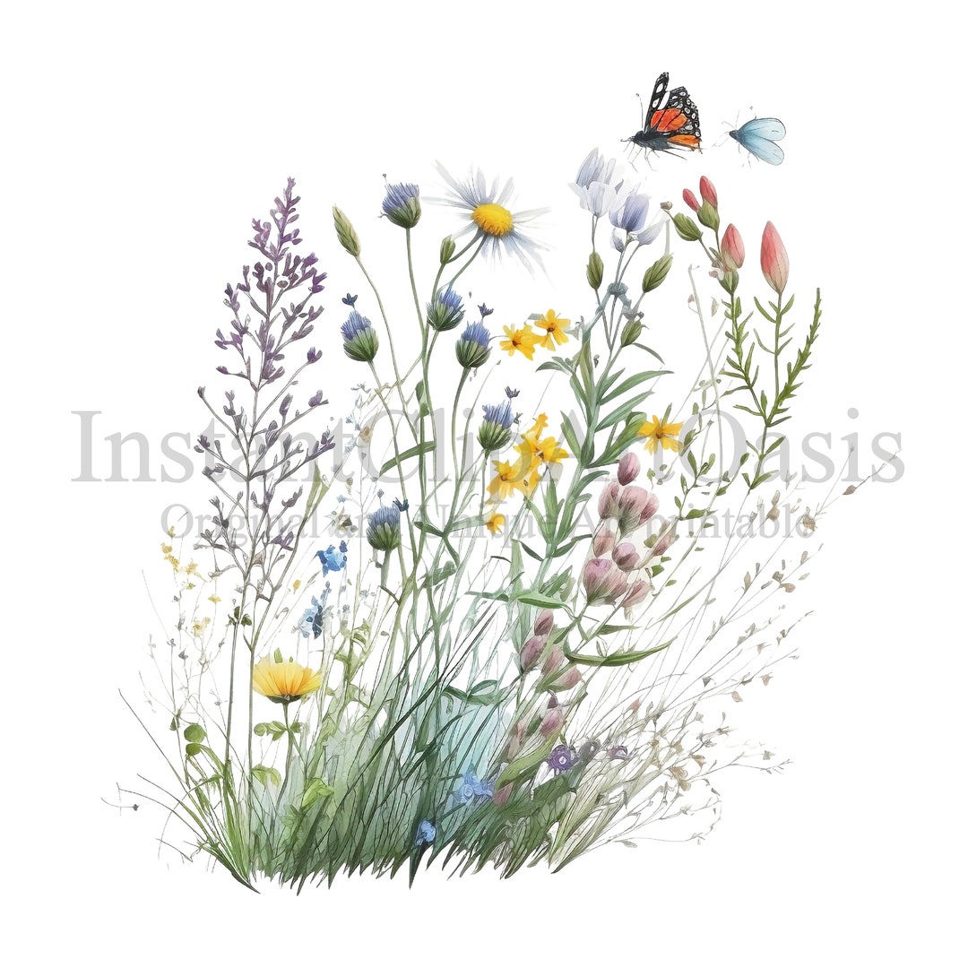 Wildflowers Clipart, 10 High Quality Pngs, Botanical Art, Digital ...