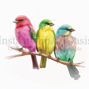 Colorful Birds Clipart, 10 High Quality Jpgs, Nursery Art, Instant ...