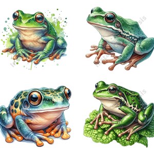 Colorful Frog Clipart - High Resolution Digital Download, Cute ...