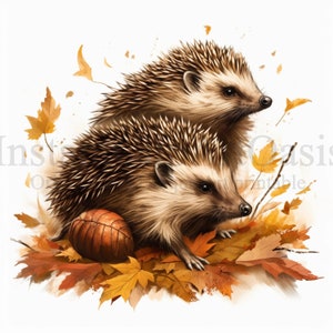 Hedgehogs in Autumn Leaves Clipart, 8 High Quality Jpgs, Nursery Art ...