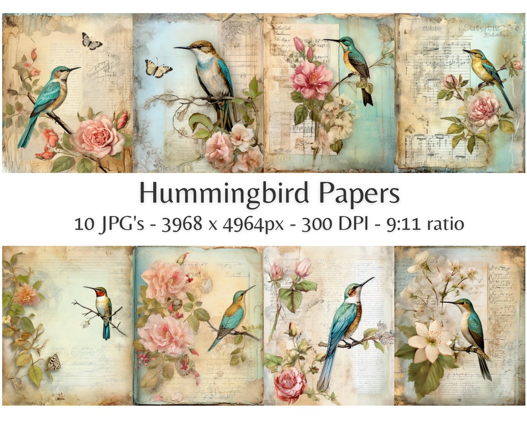 Hummingbird Papers, 10 High Quality Jpgs, Vintage Illustration ...