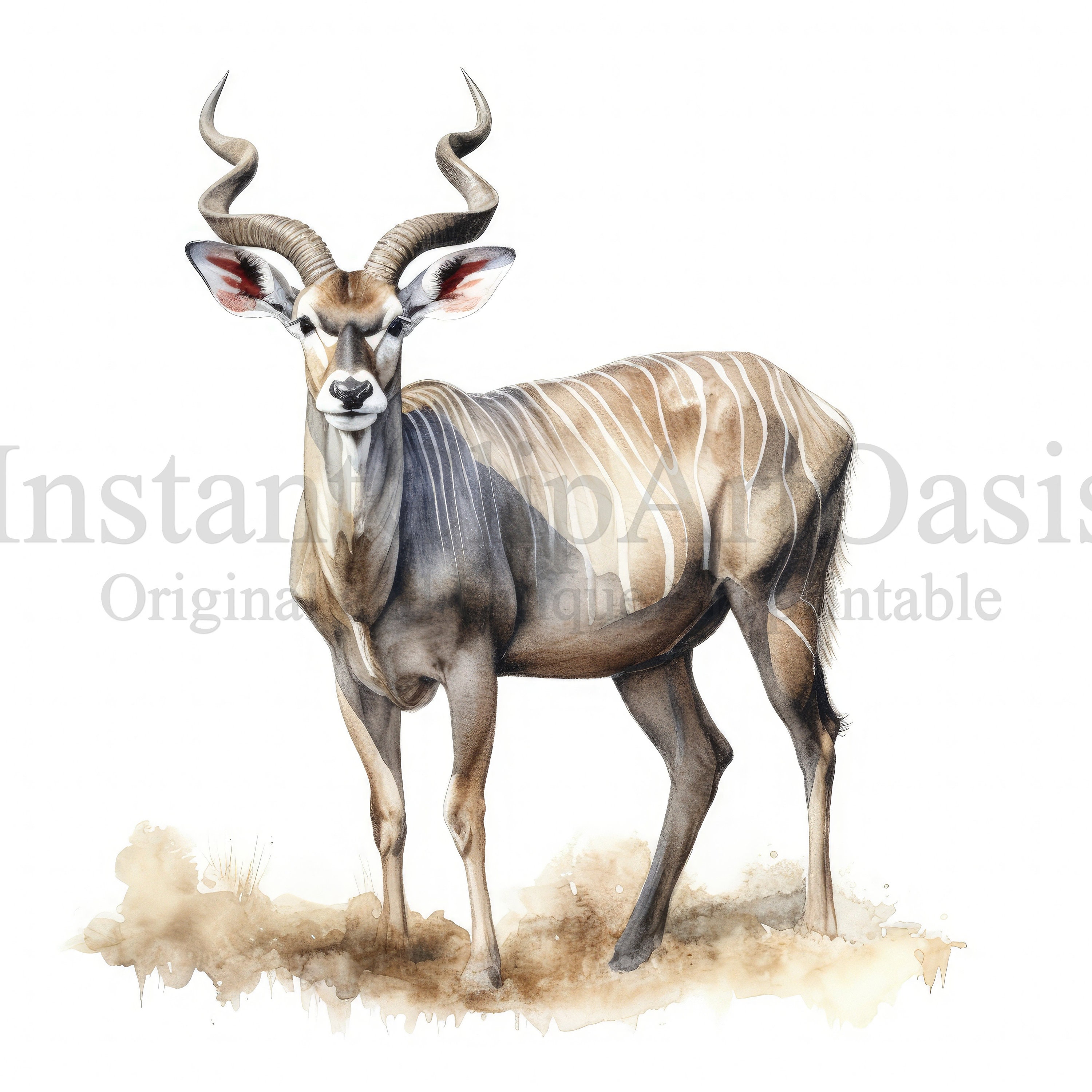 Greater Kudu Clip Art