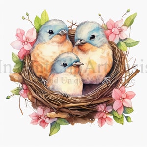 Bird Nest Clipart, 9 High Quality Jpgs, Nursery Art, Instant Digital ...