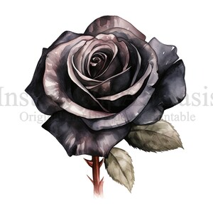 Watercolor Black Rose Clipart, 10 High Quality Jpgs, Botanical Clipart ...
