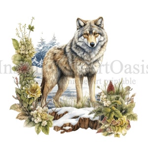 Winter Wolves Clipart, 10 High Quality Pngs, Digital Download, Card ...