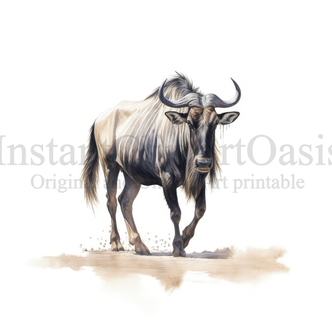 Blue Wildebeest Clipart, 5 High Quality Jpgs, Instant Digital Download ...