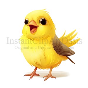 Illustrated Canaries Clipart - 10 High Quality Pngs, Printable Graphic ...