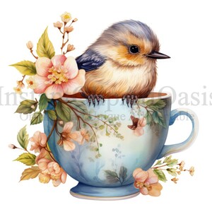 Cute Bird in a Cup Clipart, 10 High Quality Jpgs, Instant Digital ...
