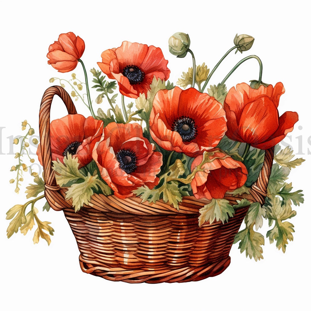 Poppies Basket Clipart, 10 High Quality Jpgs, Junk Journaling, Digital ...