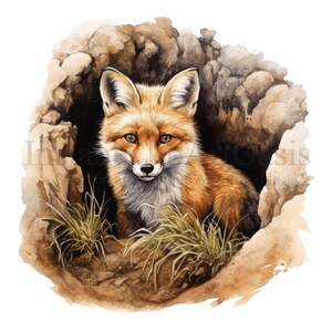 Fox in the Den Clipart - 10 High Quality Pngs, Digital Download, Card ...