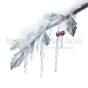 Branch & Icicles Clipart, 10 High Quality Pngs, Botanical Art, Digital ...