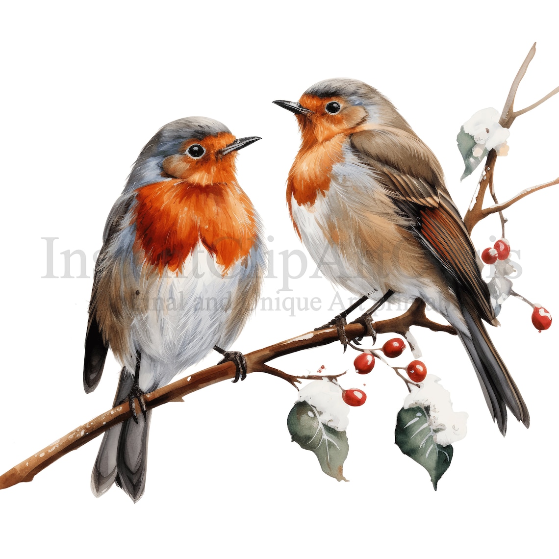 Winter Robins Clipart, 10 High Quality Pngs, Instant Digital Download ...
