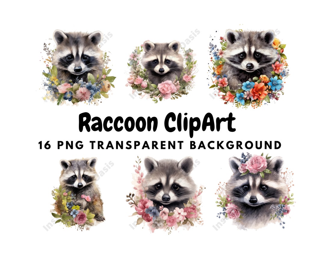 16 High Quality Pngs - Floral Raccoons Clipart - Set 2 - Nursery Art ...