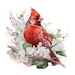 Red Cardinal Clipart, 10 High Quality Pngs, Nursery Art, Digital ...
