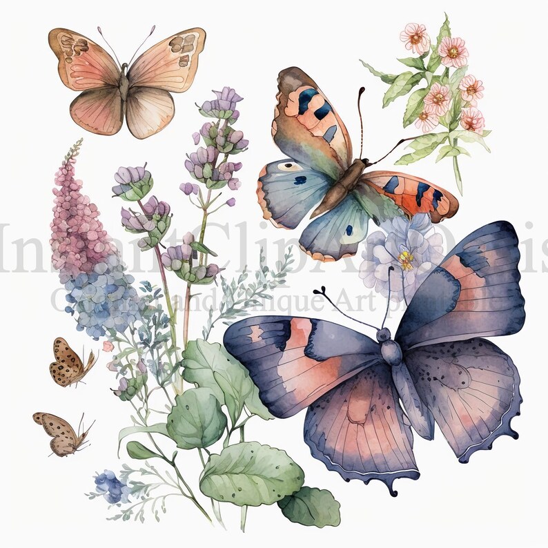 Florals Butterfly Clipart, 10 High Quality Jpgs, Nursery Art | Card ...
