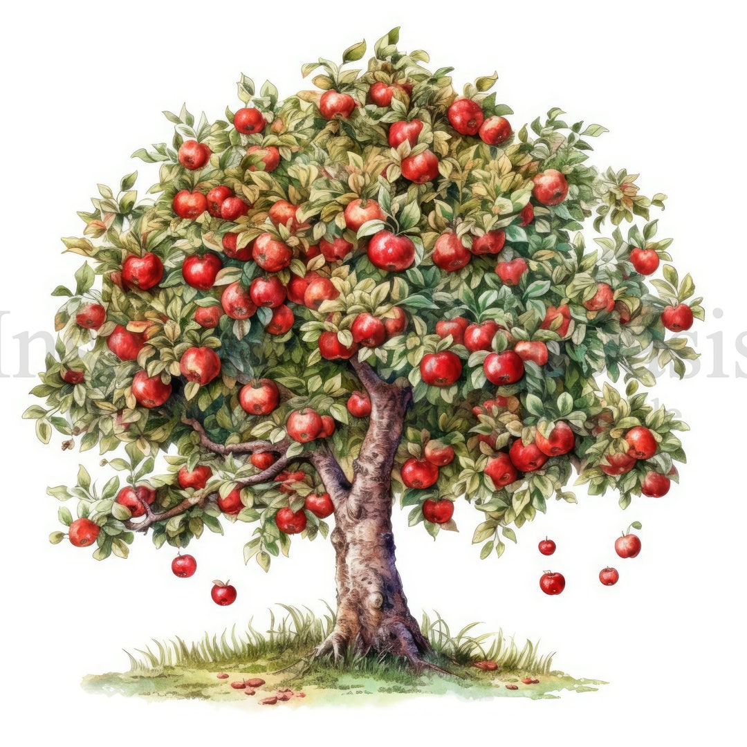 Apple Trees Clipart, 10 High Quality Jpgs, Botanical Art, Digital ...